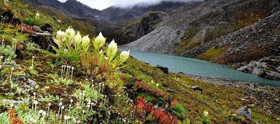 Best Places to Visit in Badrinath – Sightseeing & Things to Do